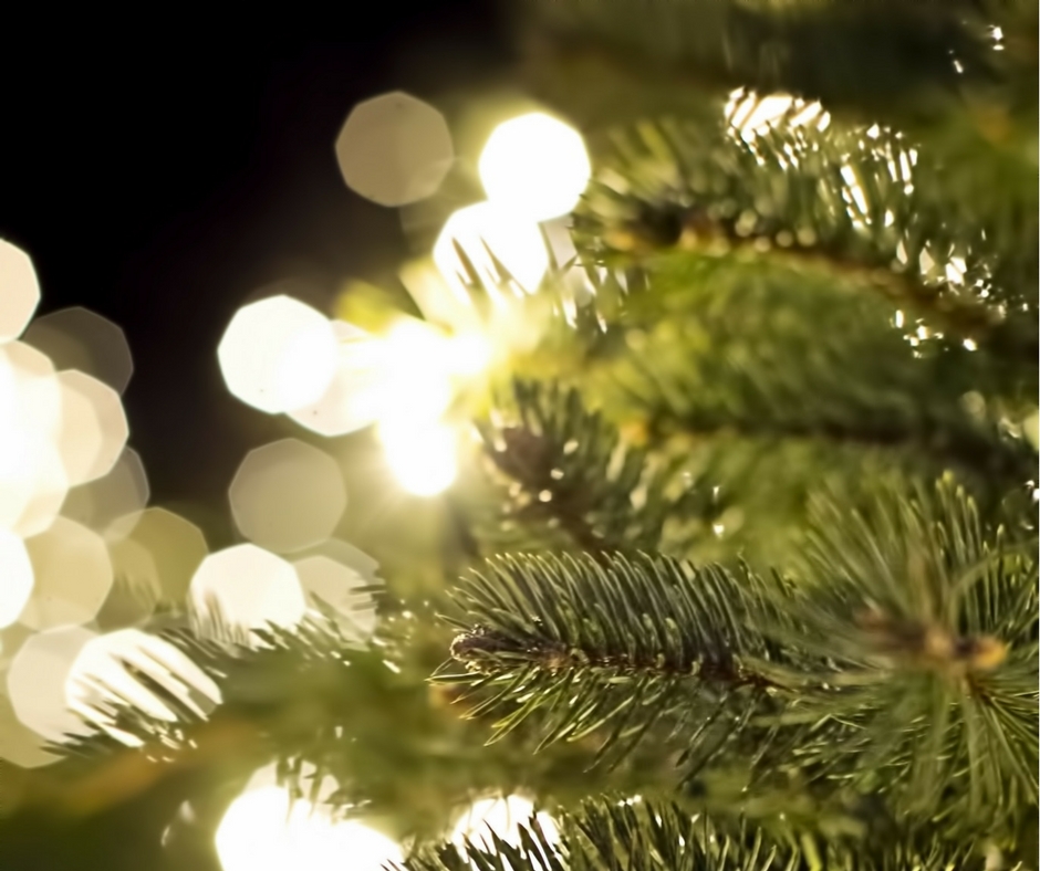 The 2017 National Christmas Tree & Pathway of Peace: What You Need to Know