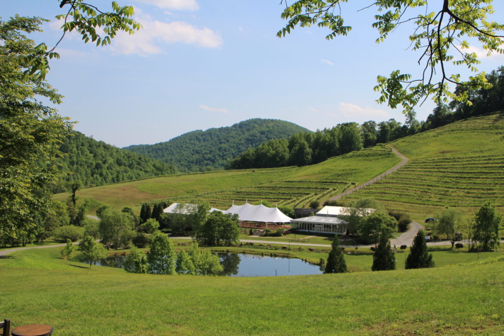 My Favorite Virginia Wineries (So Far!) | A Traveling Broad